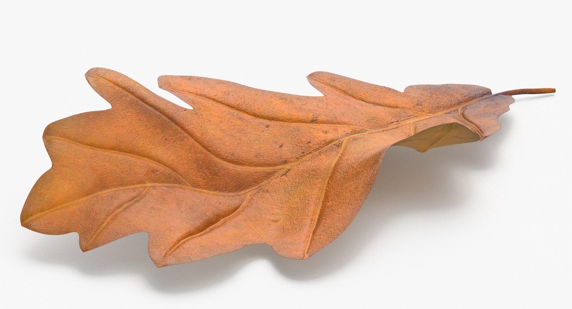 3D Prop Autumn Leaves Type 03 - TurboSquid 2151087