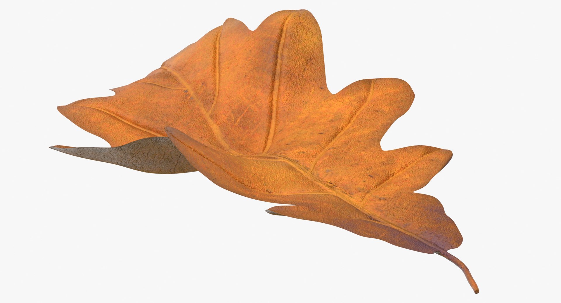3D Prop Autumn Leaves Type 03 - TurboSquid 2151087