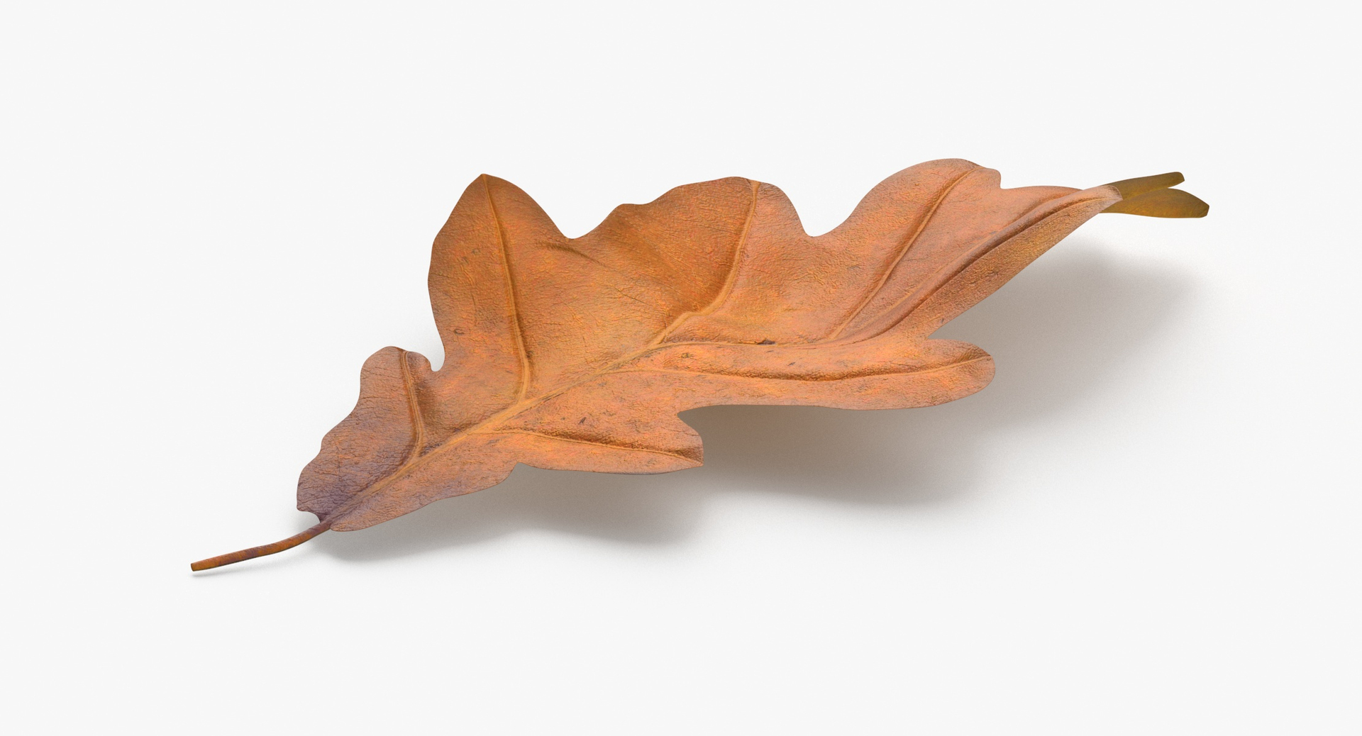 3D Prop Autumn Leaves Type 03 - TurboSquid 2151087