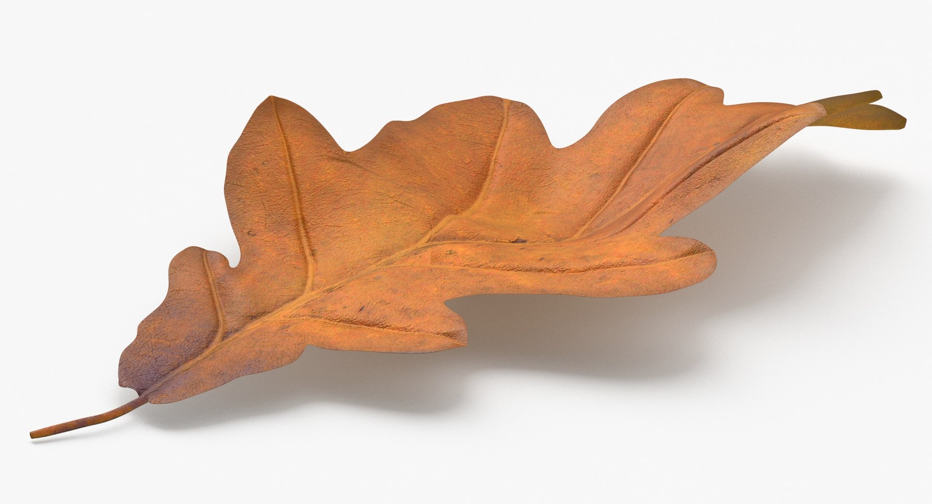 3D Prop Autumn Leaves Type 03 - TurboSquid 2151087