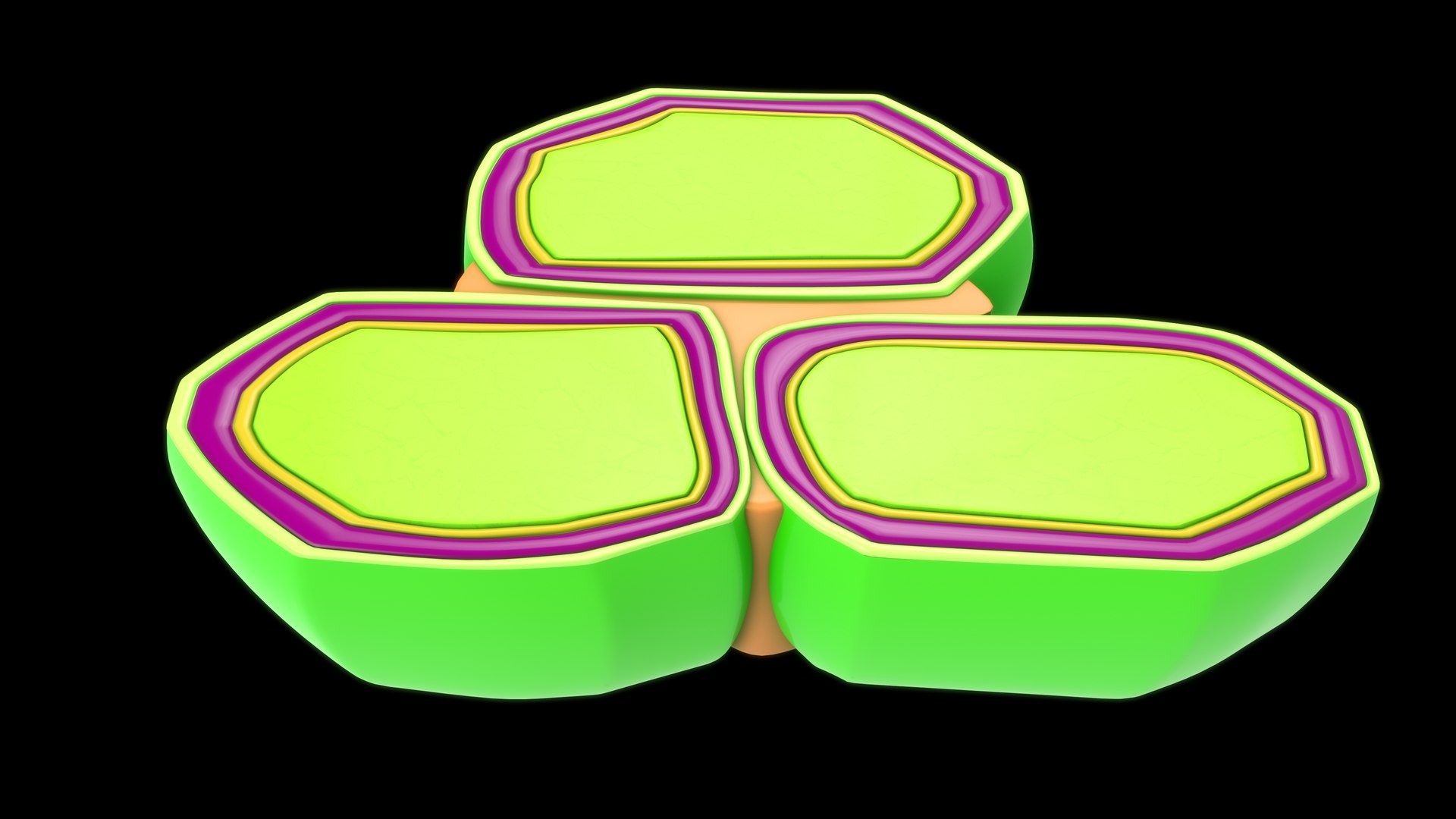 3d Model Plant Cell Wall Turbosquid 2195188