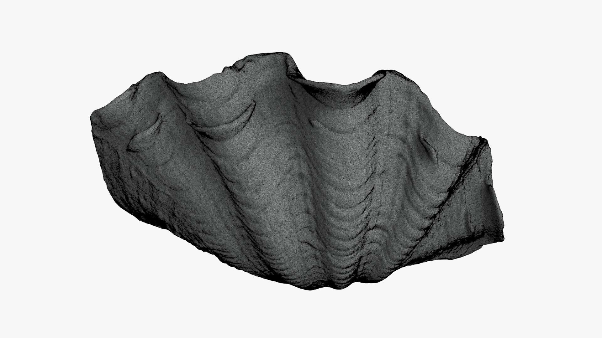 Giant Clam Shell Half 02 For 3D Print 3D Model - TurboSquid 2304973