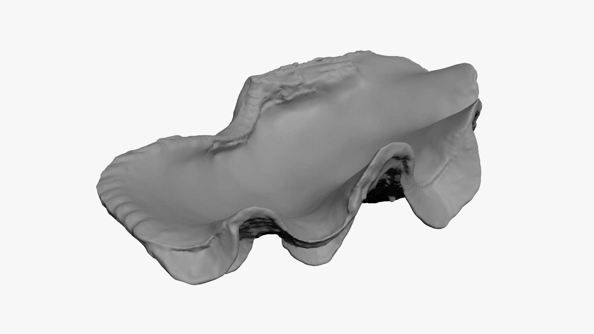 Giant Clam Shell Half 02 For 3D Print 3D Model - TurboSquid 2304973