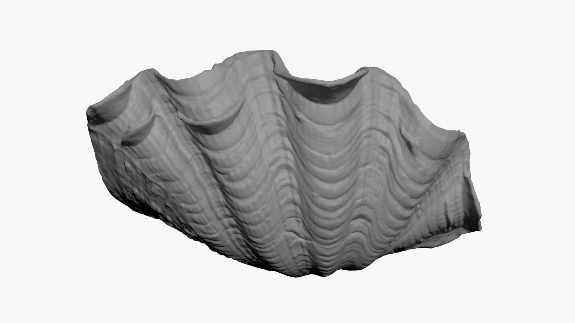 Giant Clam Shell Half 02 For 3D Print 3D Model - TurboSquid 2304973