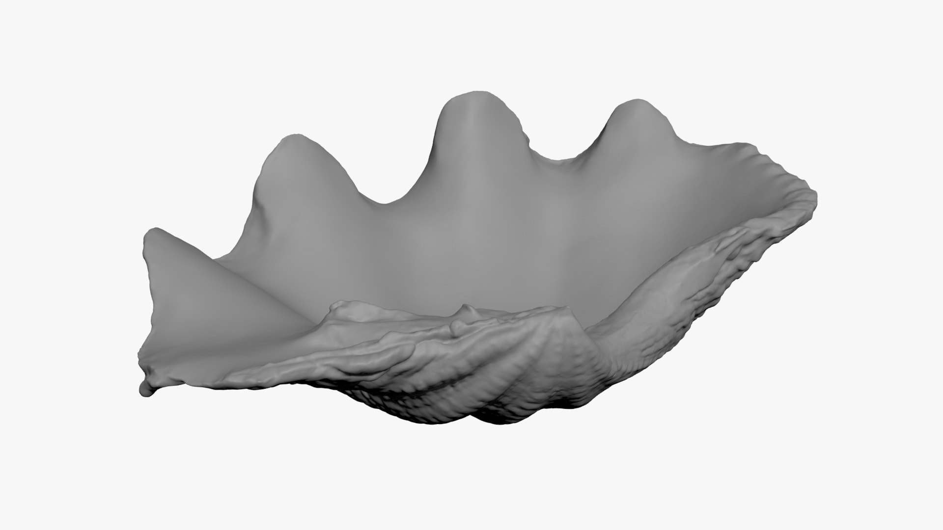 Giant Clam Shell Half 02 For 3D Print 3D Model - TurboSquid 2304973