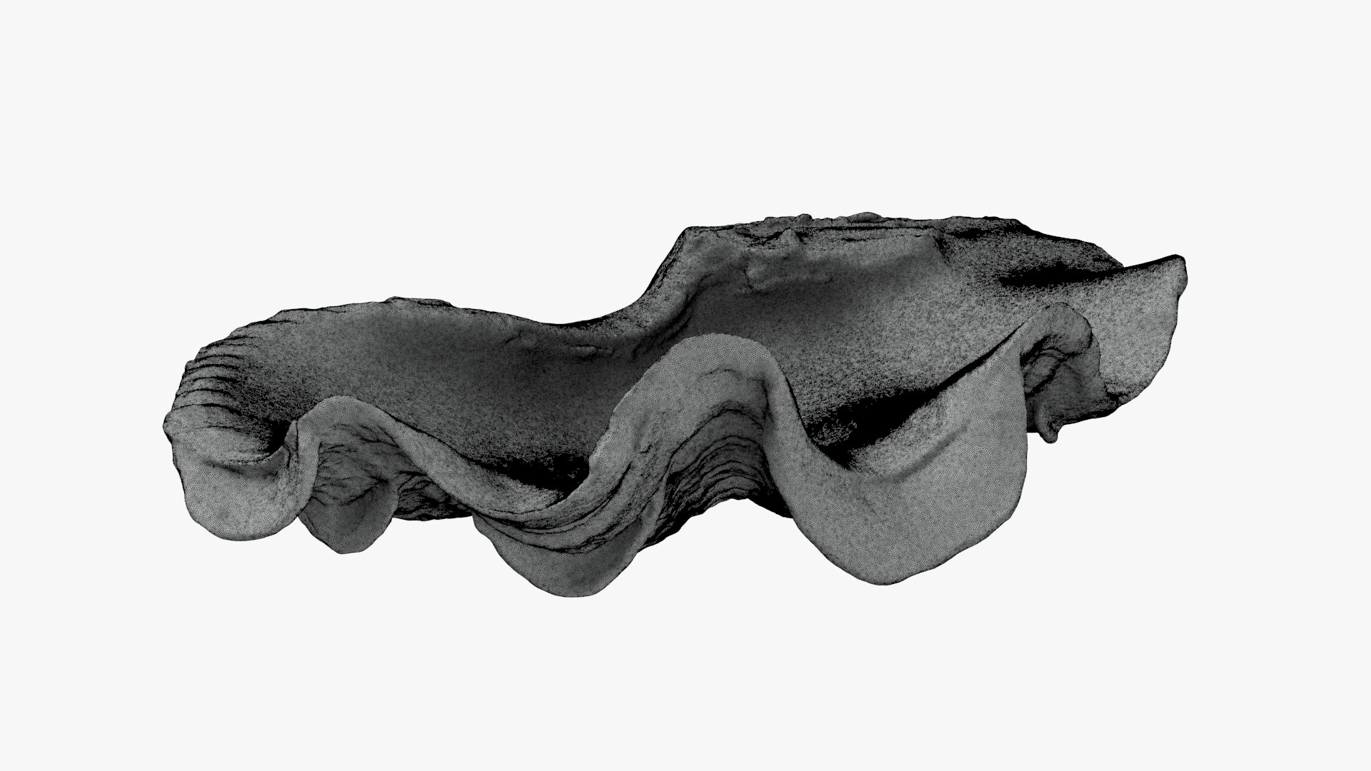 Giant Clam Shell Half 02 For 3D Print 3D Model - TurboSquid 2304973