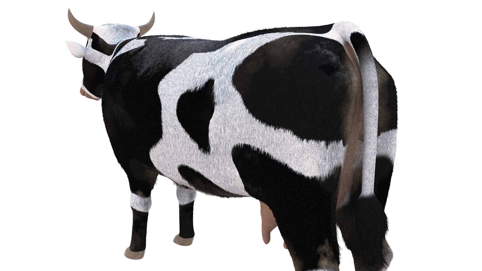 Cow 3D - TurboSquid 1941870