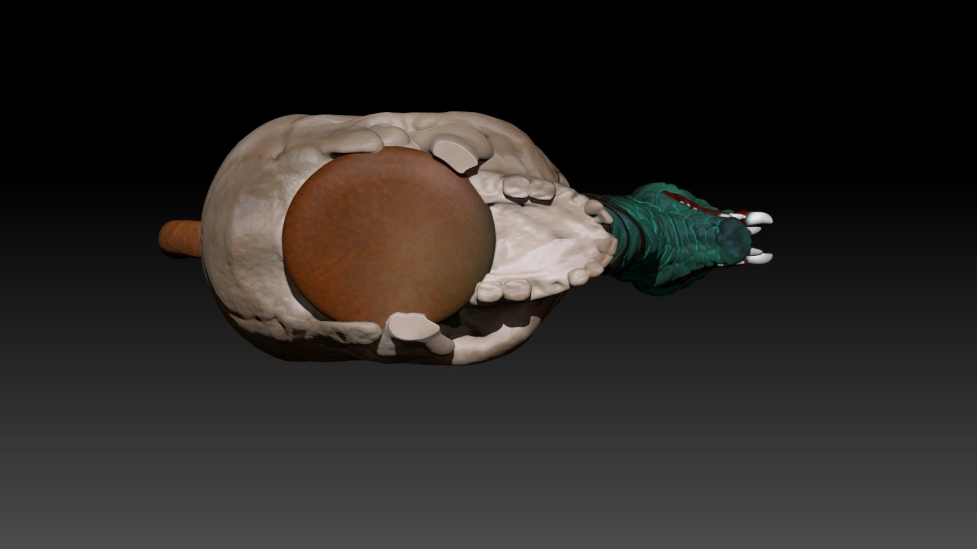 Assassins Teapot 3D Model - TurboSquid 2043925