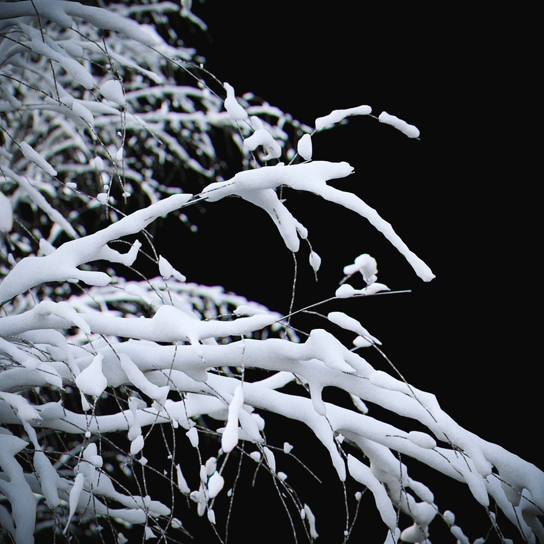 Procedural Snow Shader V02 3D - TurboSquid 1871293