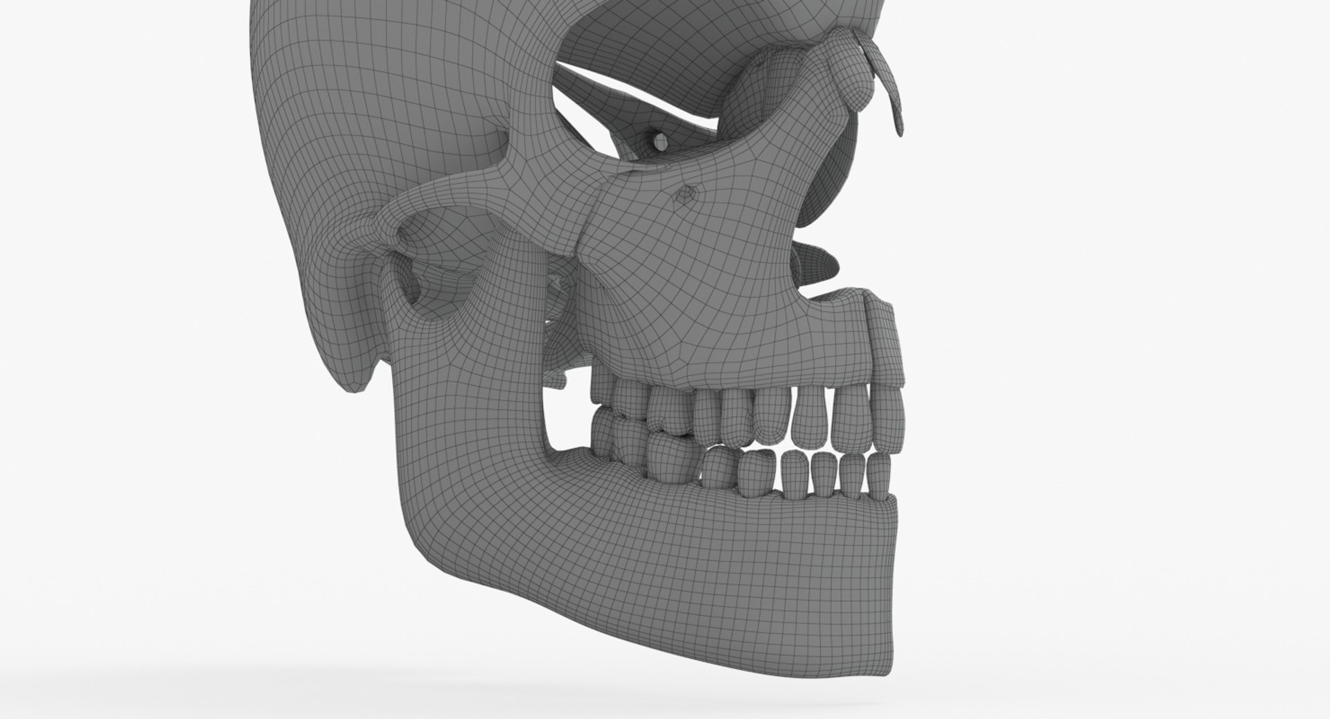 Skull Lateral Anatomy 3D Model - TurboSquid 1381807