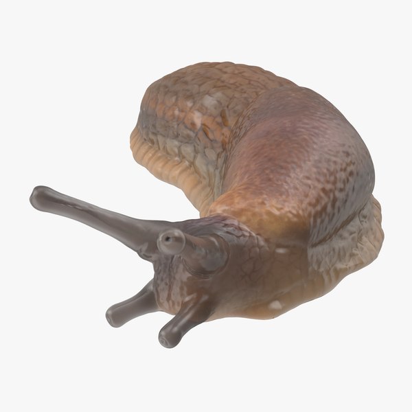 Slug 3D Models for Download | TurboSquid