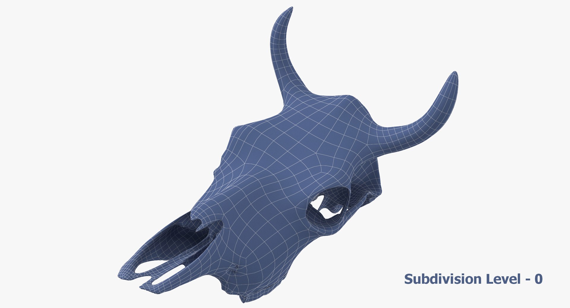 Skull 3D Model - TurboSquid 1665156