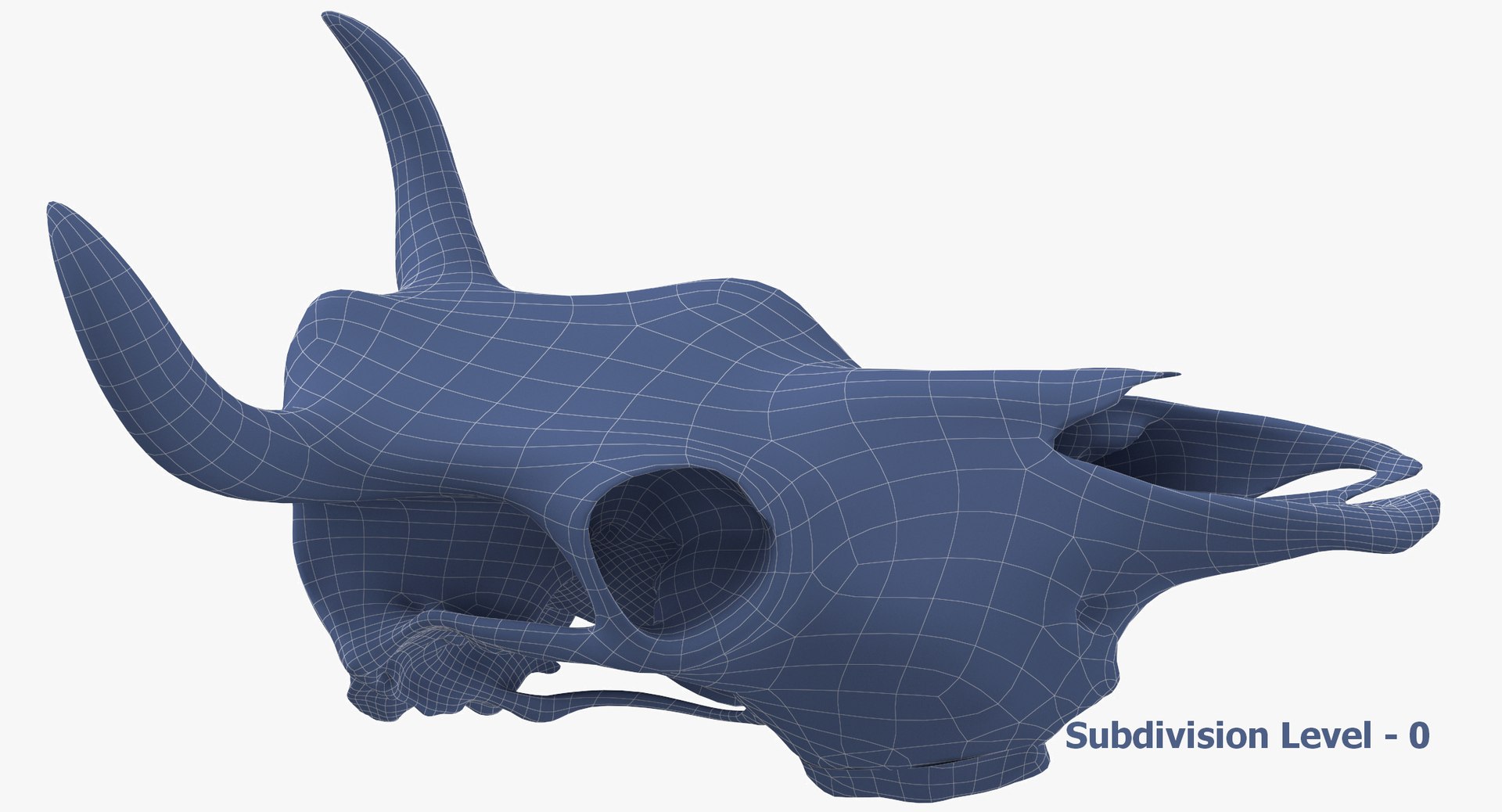 Skull 3D Model - TurboSquid 1665156