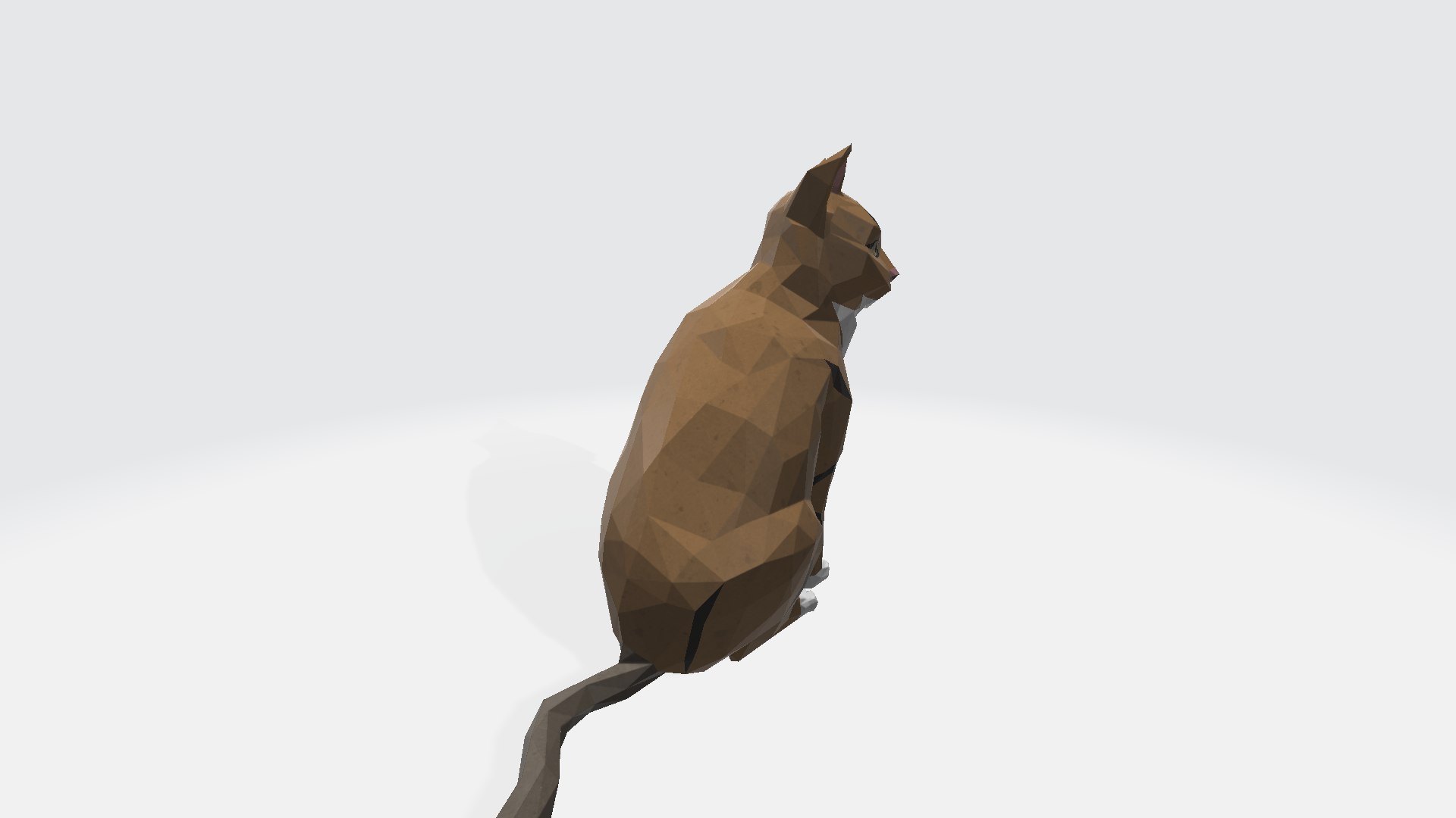 Cat - Low Poly 3D Model - TurboSquid 2291777