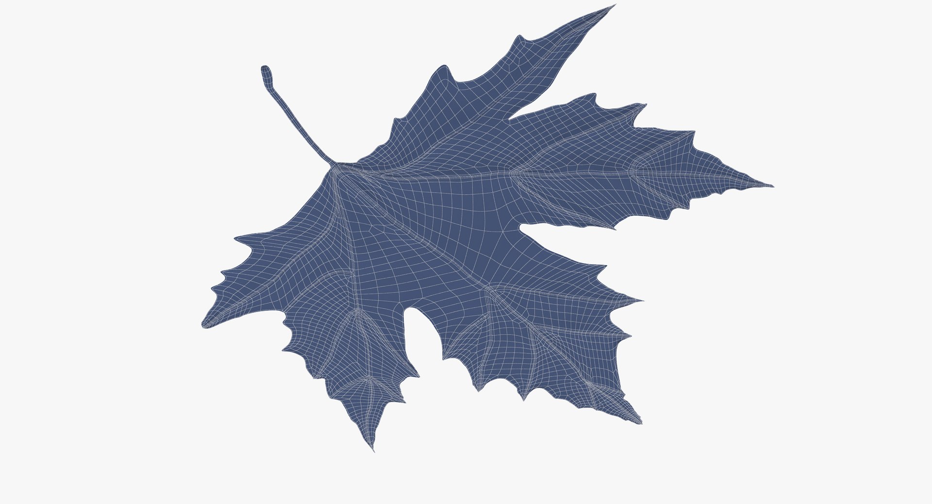 Red Maple Leaf 3d C4d