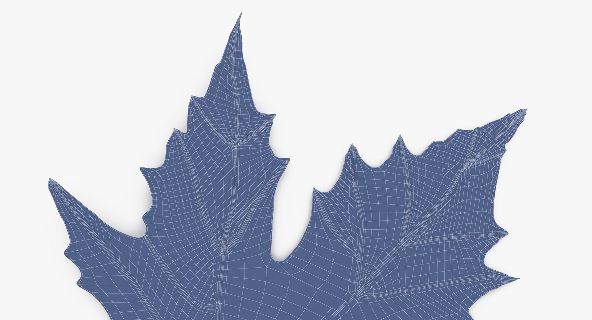 Red Maple Leaf 3d C4d