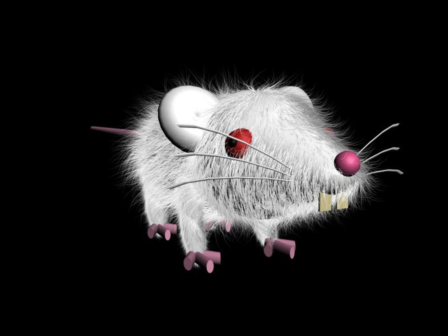 Free White Mouse 3d Model