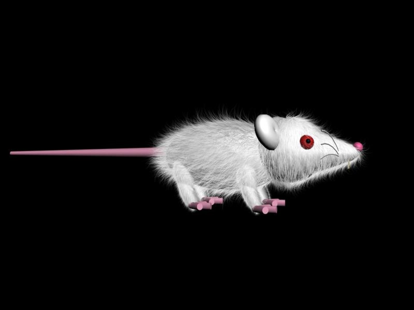 Free White Mouse 3d Model