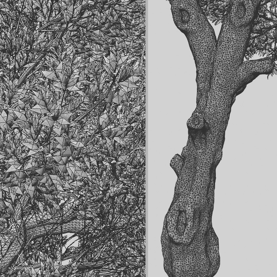 3D Set Of Mountain Mahogany Or Cercocarpus Tree - TurboSquid 1967809