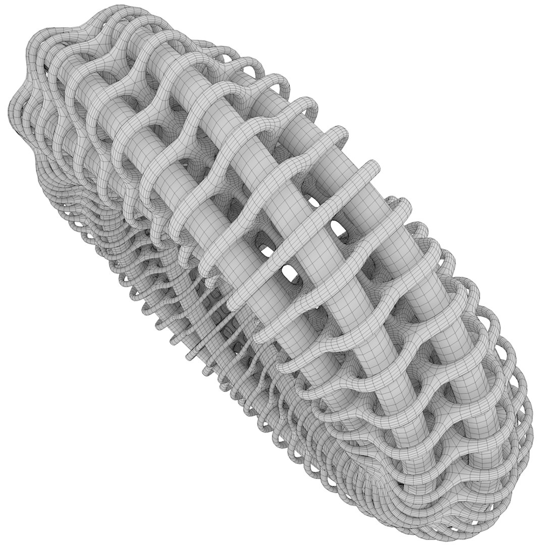 Torus 3D Model - TurboSquid 1603843