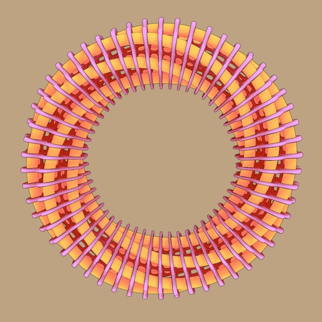 Torus 3D Model - TurboSquid 1603843