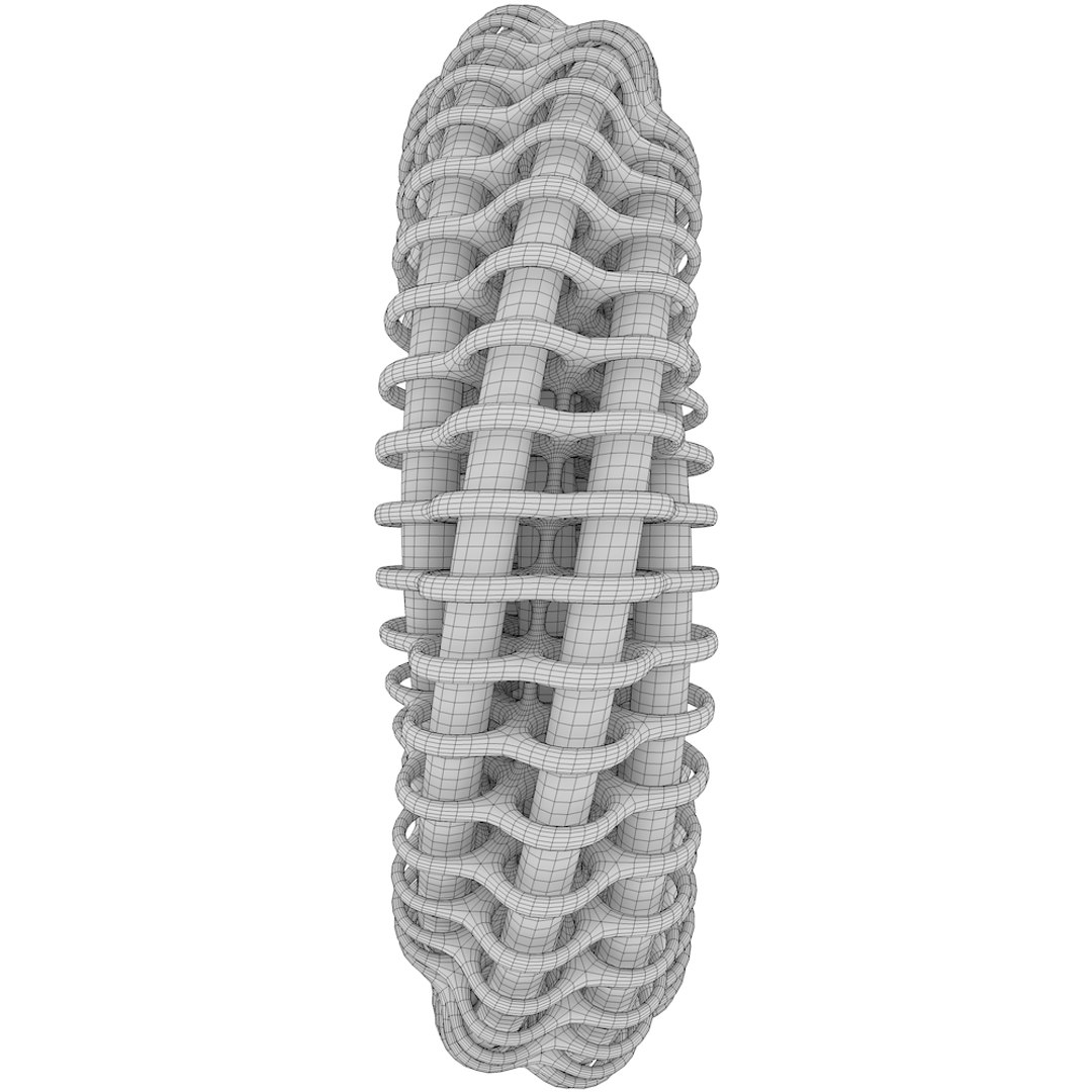 Torus 3D Model - TurboSquid 1603843