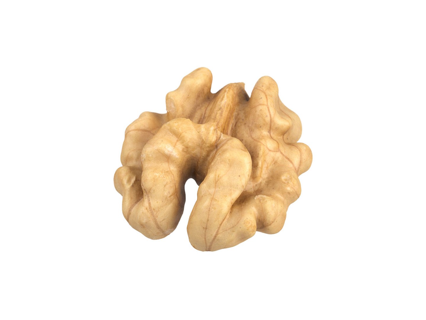Scanned Walnut Kernel 3D Model - TurboSquid 1406552