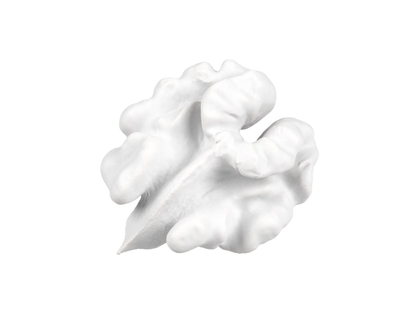 Scanned Walnut Kernel 3D Model - TurboSquid 1406552