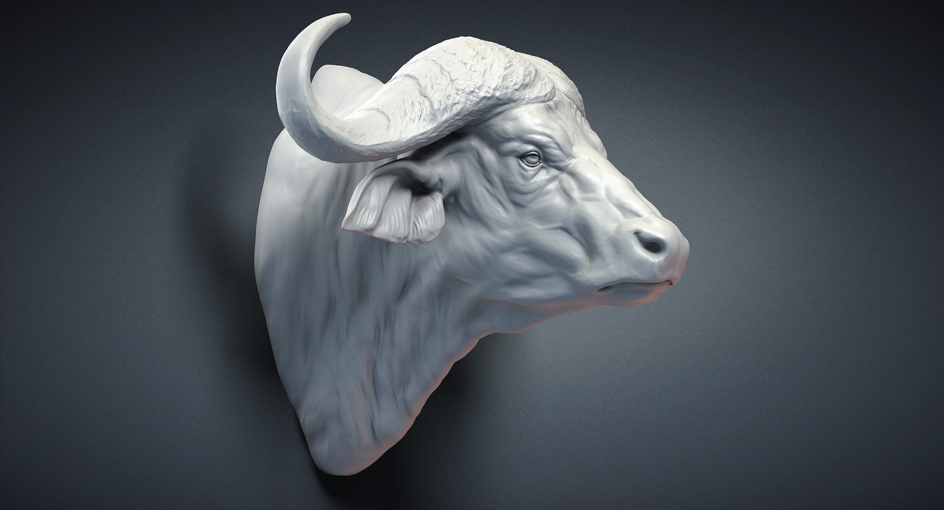 Cape Buffalo Animal Head 3D Model - TurboSquid 1306166