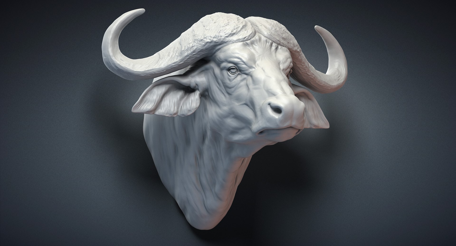 Cape Buffalo Animal Head 3D Model - TurboSquid 1306166