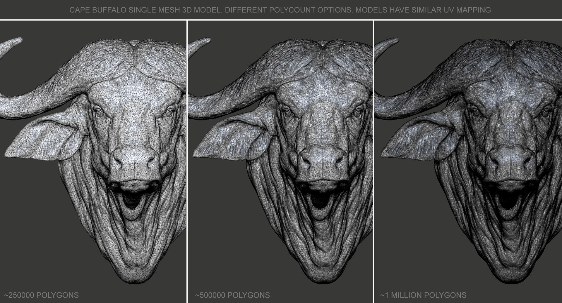 Cape Buffalo Animal Head 3D Model - TurboSquid 1306166