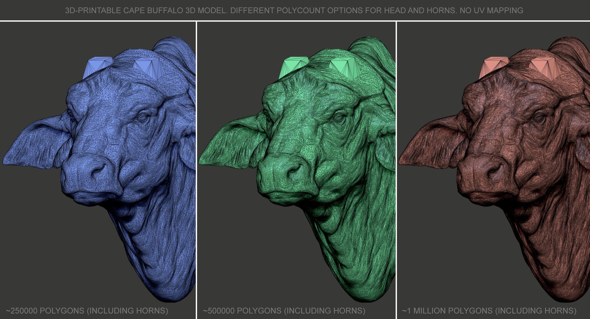 Cape Buffalo Animal Head 3D Model - TurboSquid 1306166