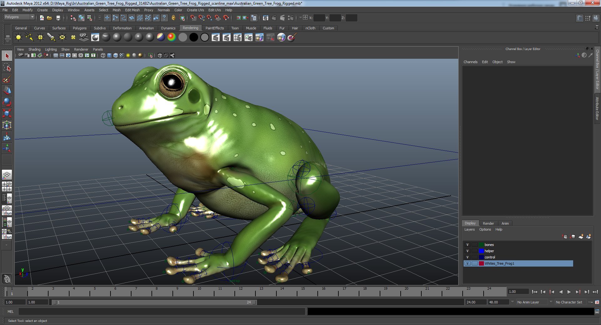 australian green tree frog 3d ma