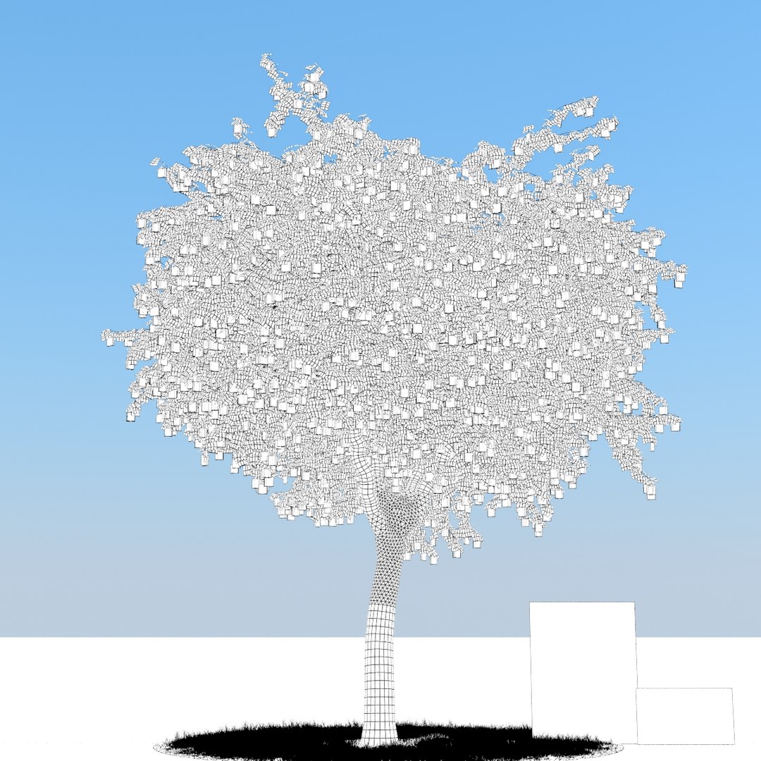 Realistic Maple Tree 3d Model