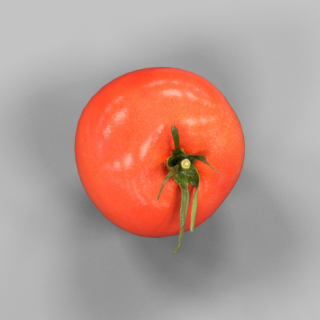 Photorealistic Tomato 3d Model