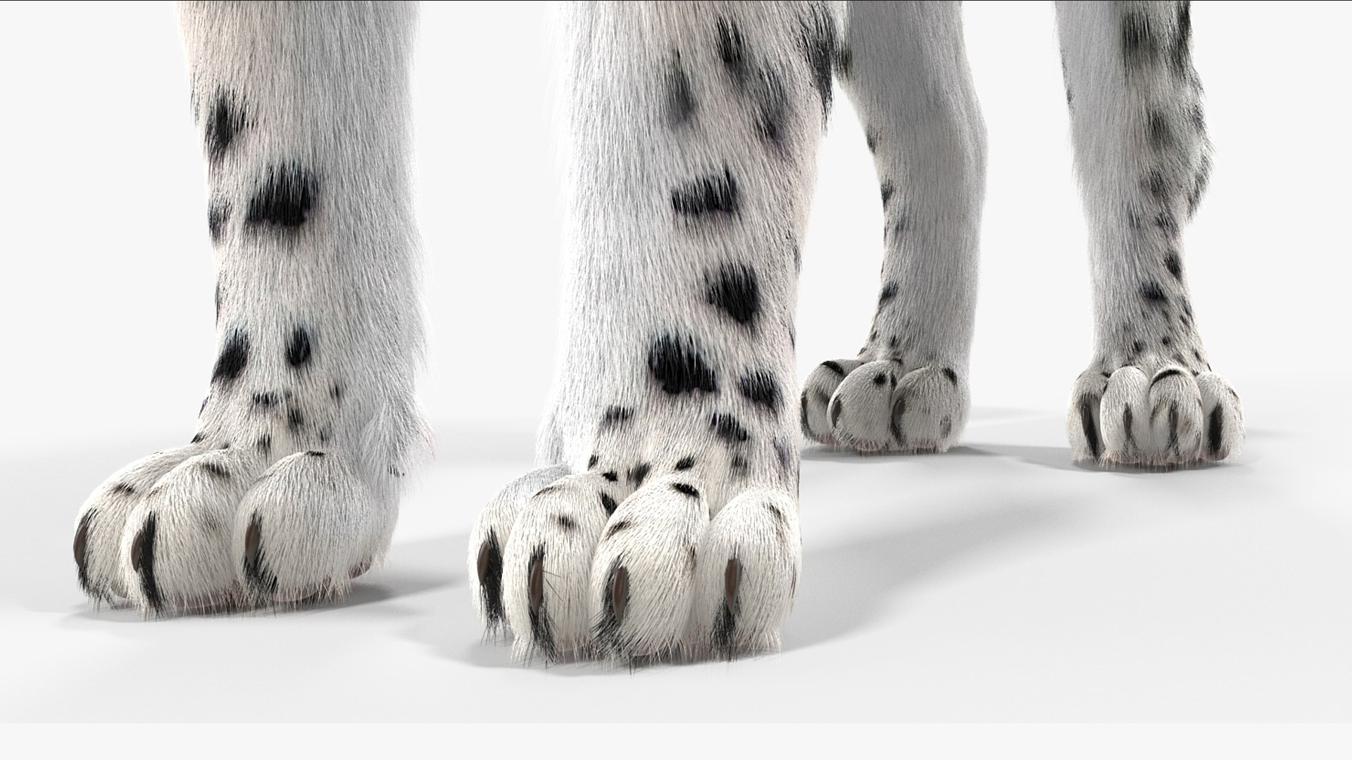 3D Model Snow Leopard With Detailed Fur - TurboSquid 2383016