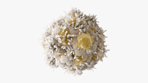 Free 3D Blood Models | TurboSquid