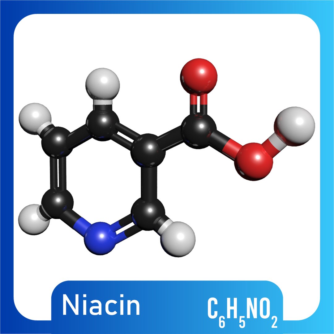 C6h5no2 Molecule Nicotinic Acid 3D - TurboSquid 1425780