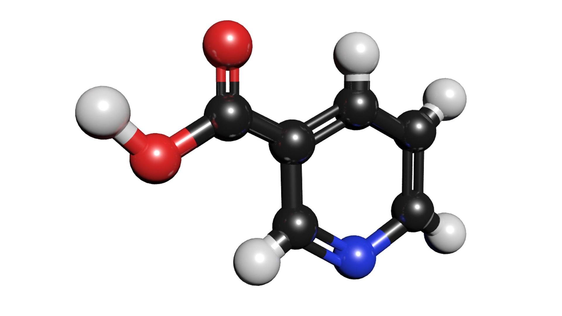 C6h5no2 Molecule Nicotinic Acid 3D - TurboSquid 1425780