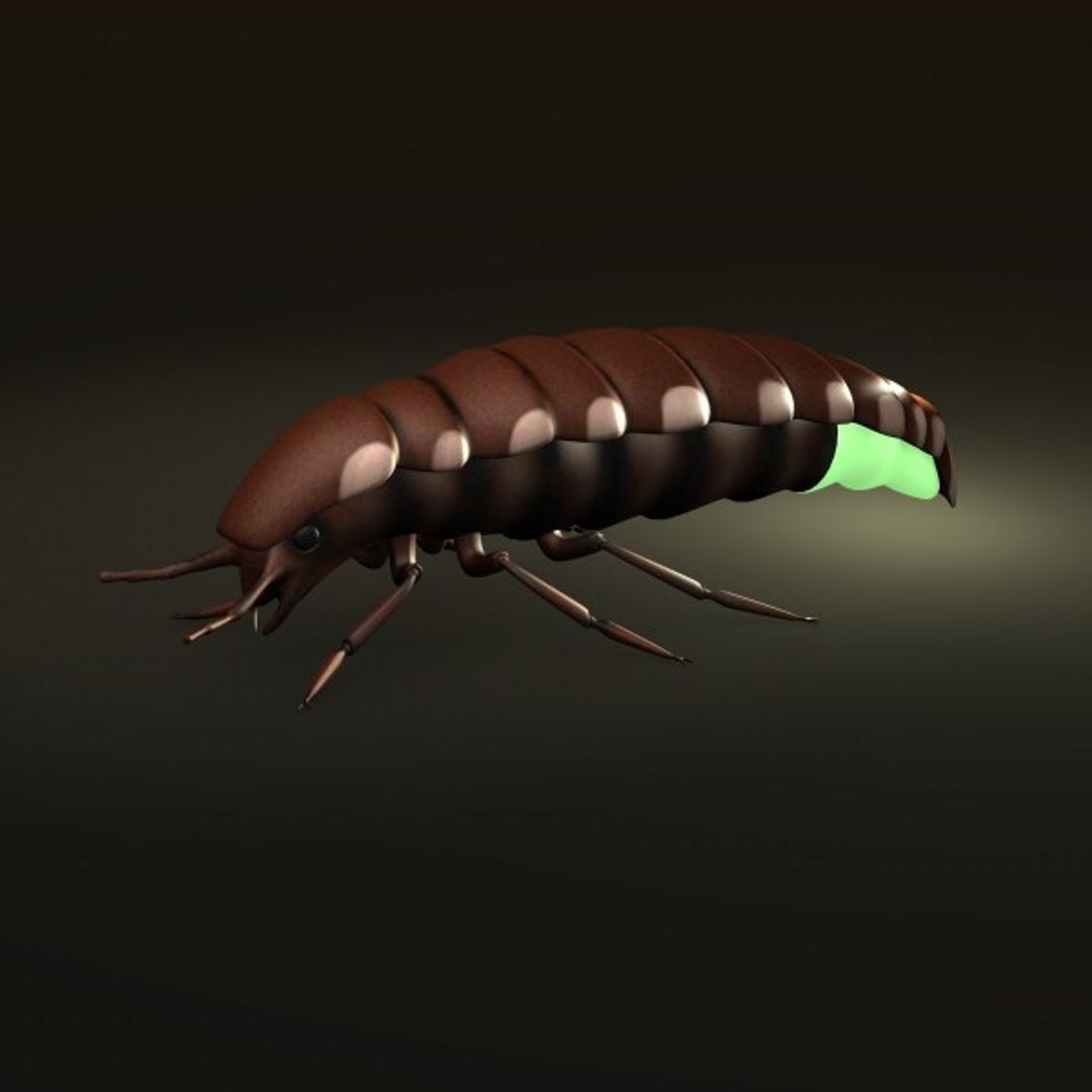 Lightwave Glow Worm