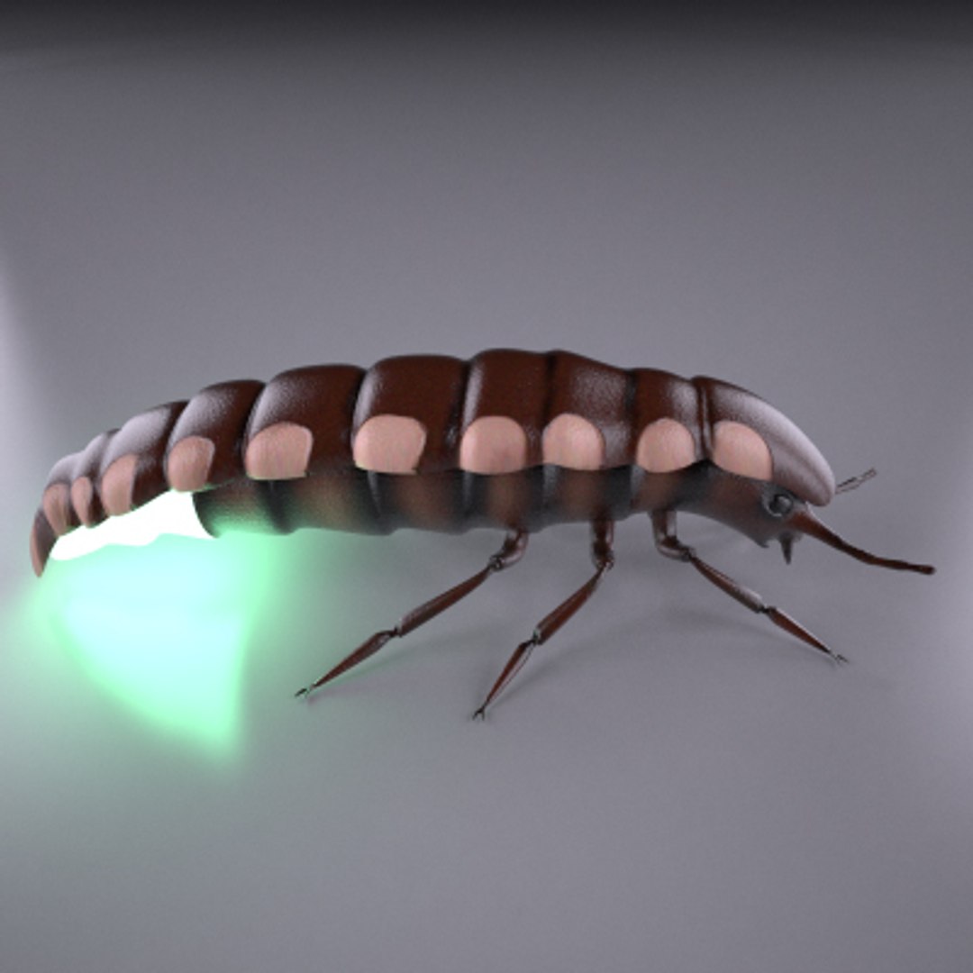 Lightwave Glow Worm