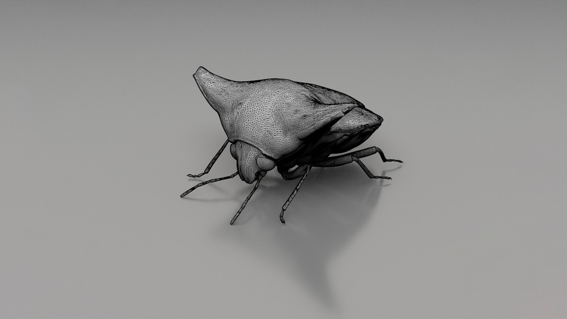 Ultimate Realistic 60 Insects Pack 3D Model - TurboSquid 2378692