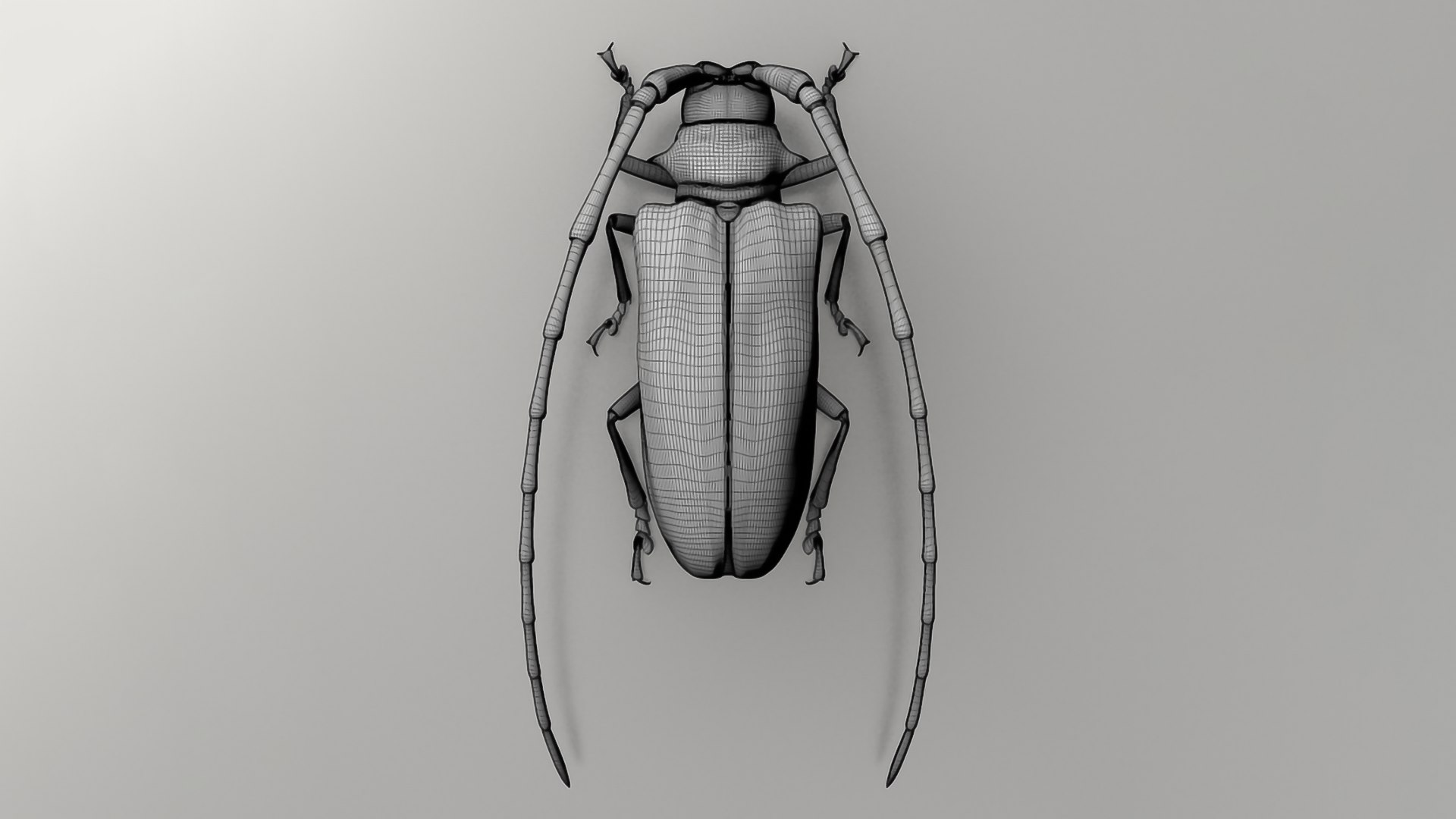 Ultimate Realistic 60 Insects Pack 3D Model - TurboSquid 2378692