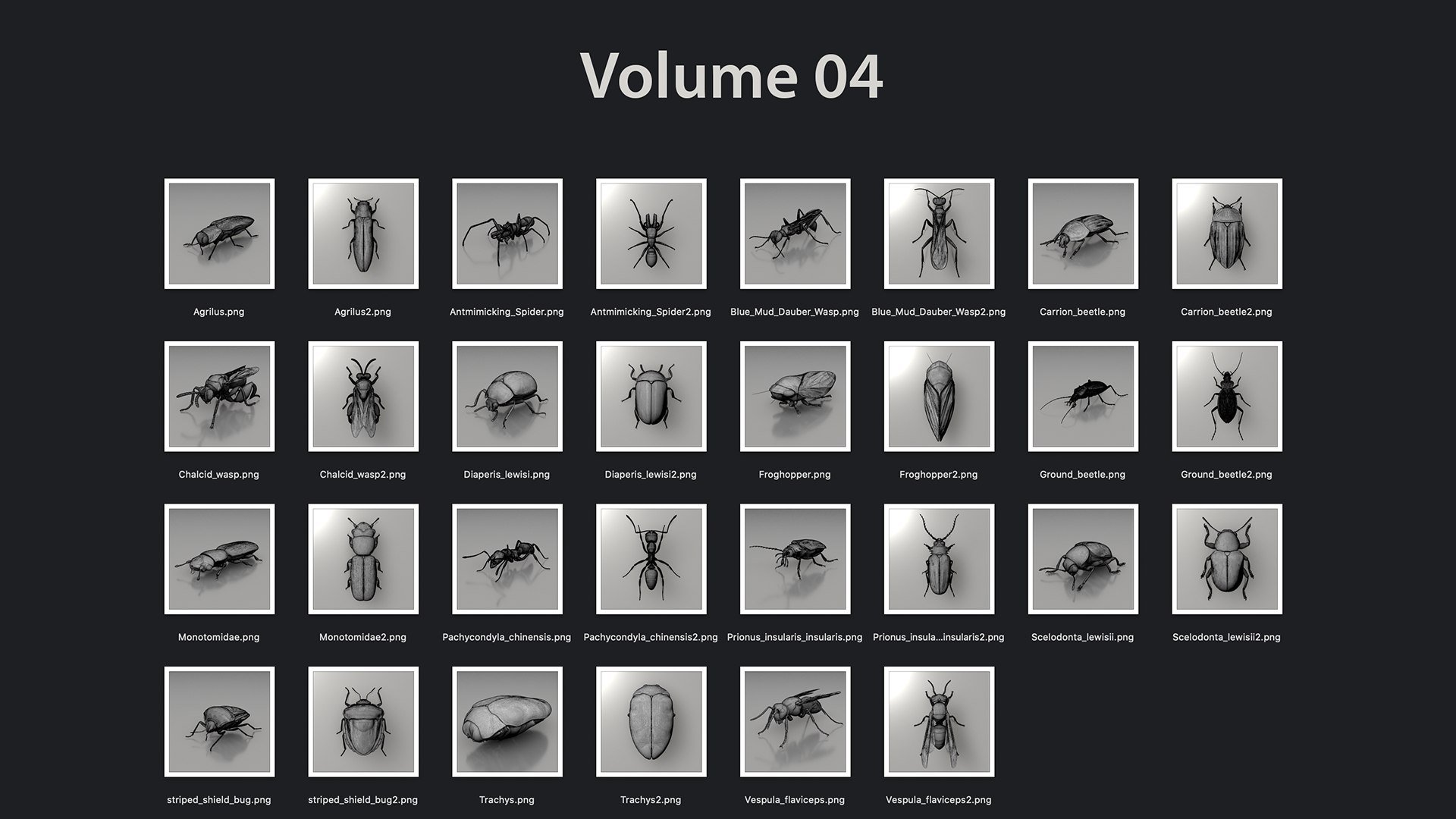 Ultimate Realistic 60 Insects Pack 3D Model - TurboSquid 2378692