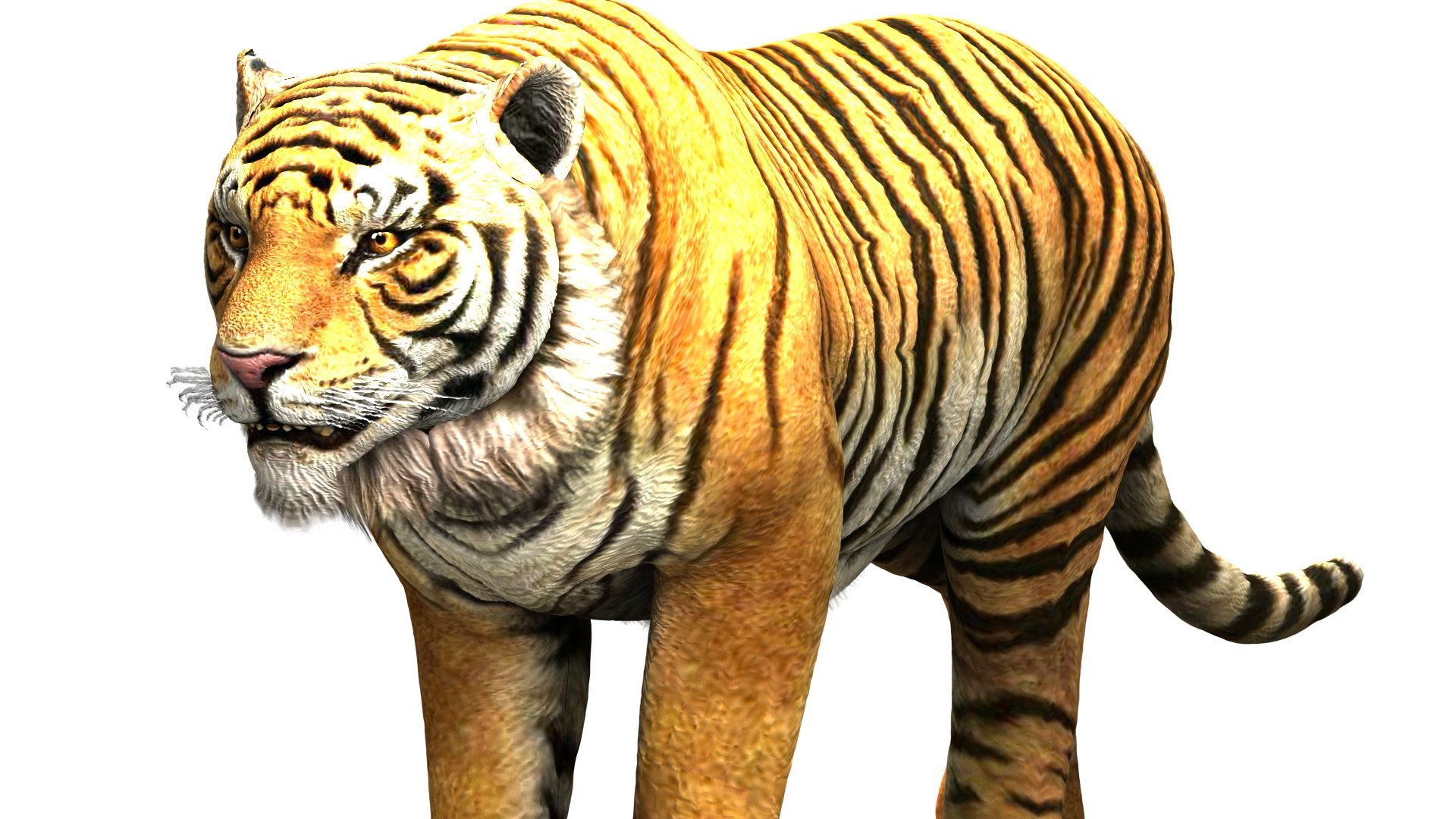 Tiger Walk Model - TurboSquid 1901402