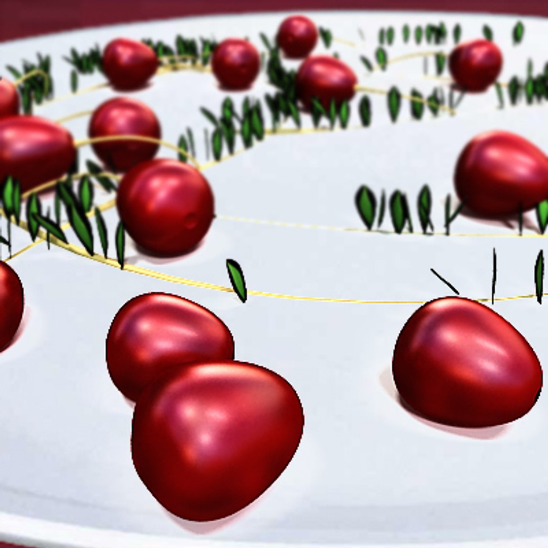 Sour Cranberry Berries 3ds