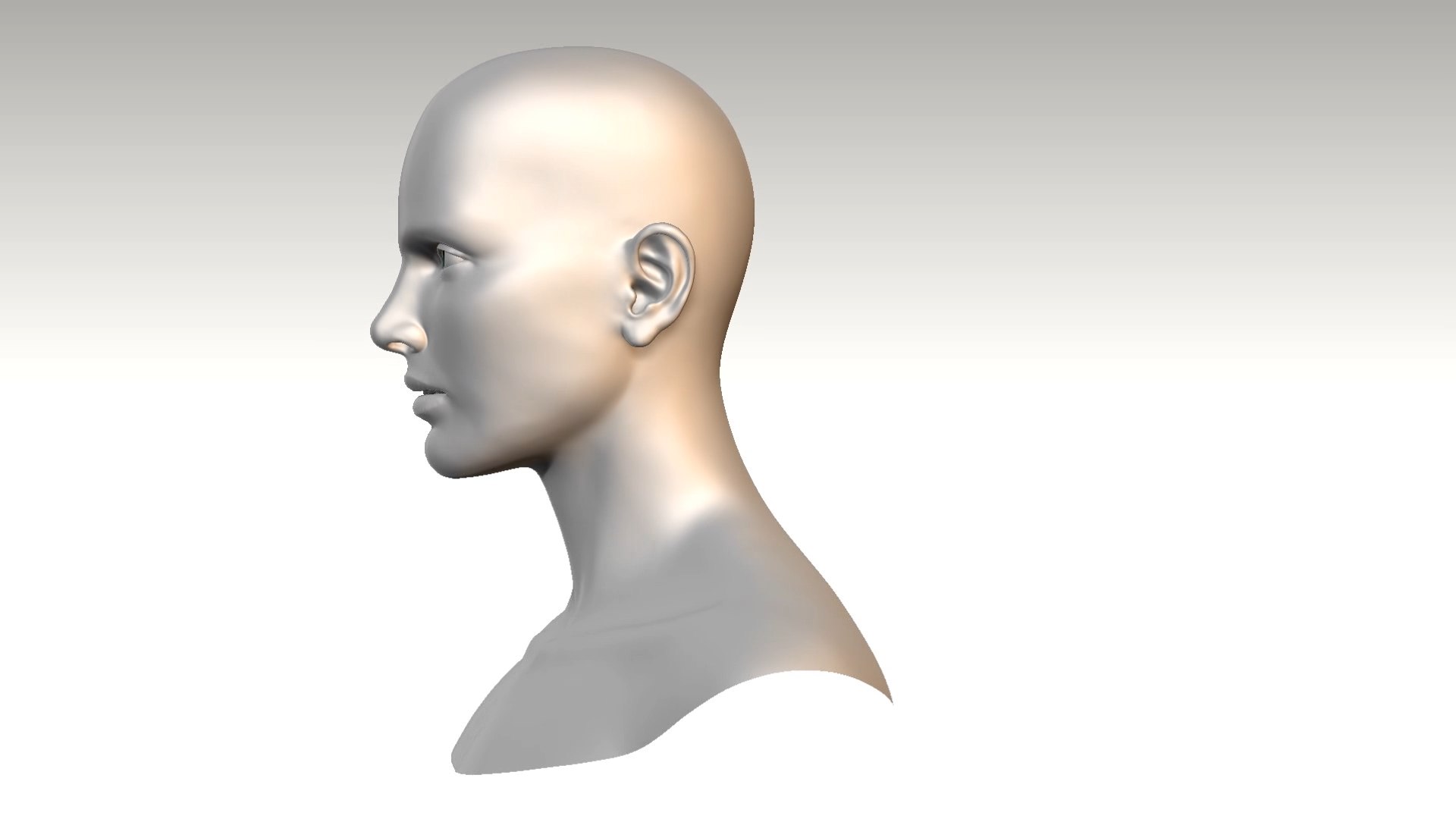 character bust basemesh pack 3d model