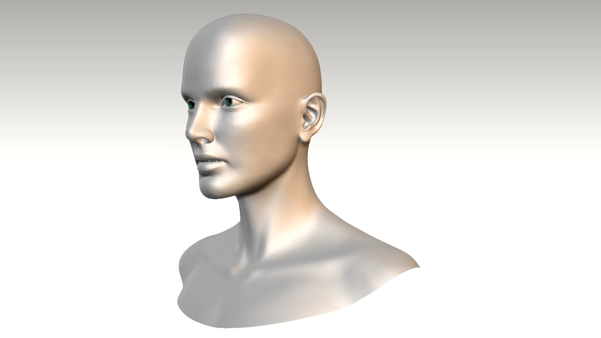 character bust basemesh pack 3d model