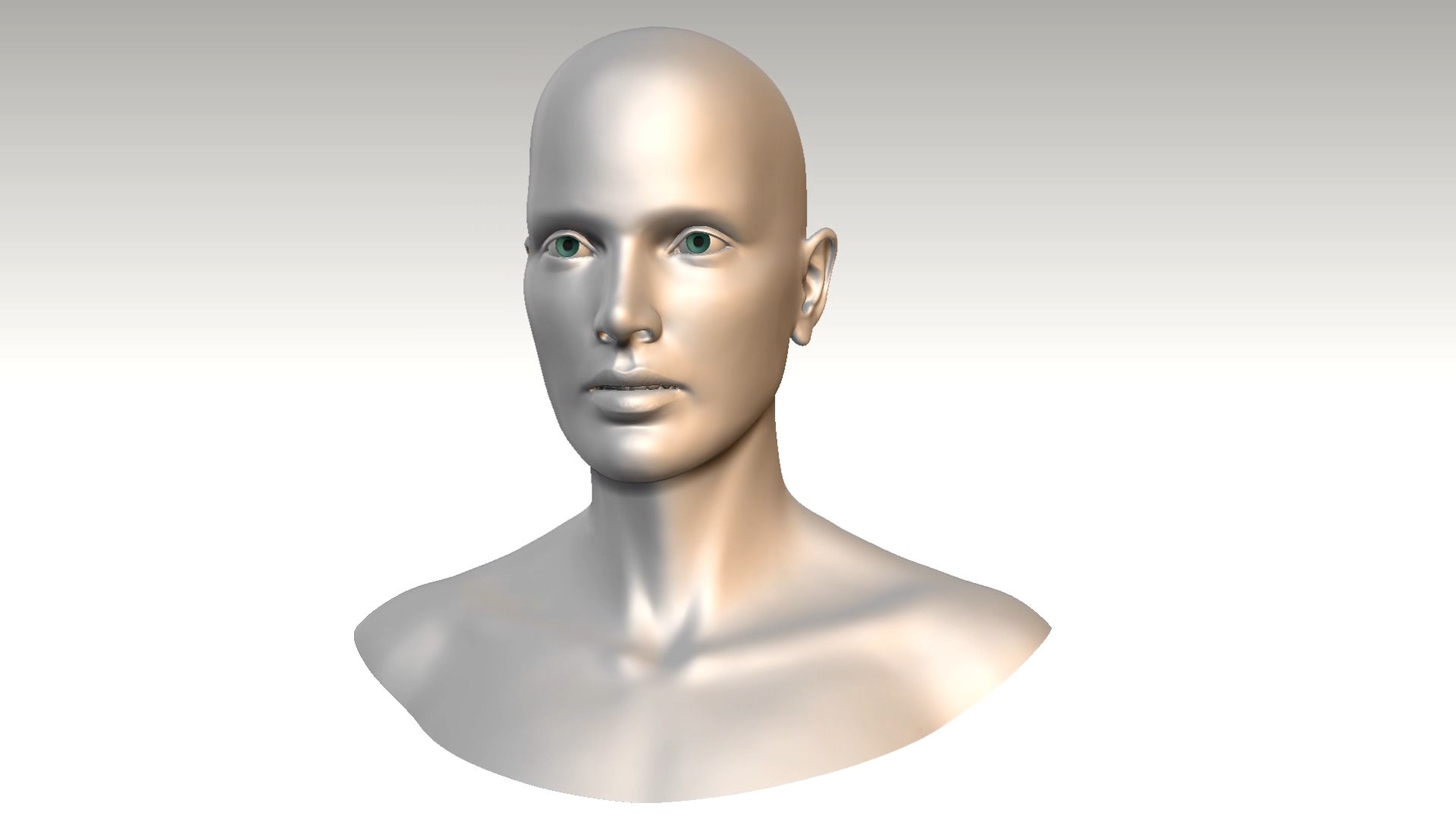 character bust basemesh pack 3d model