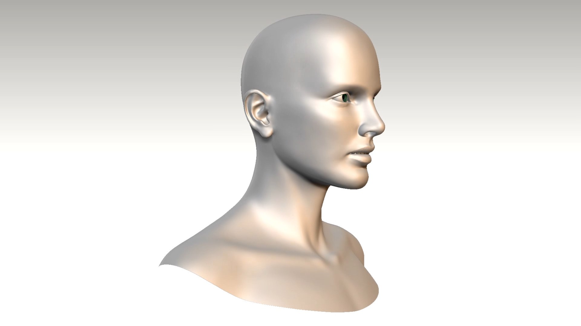 character bust basemesh pack 3d model